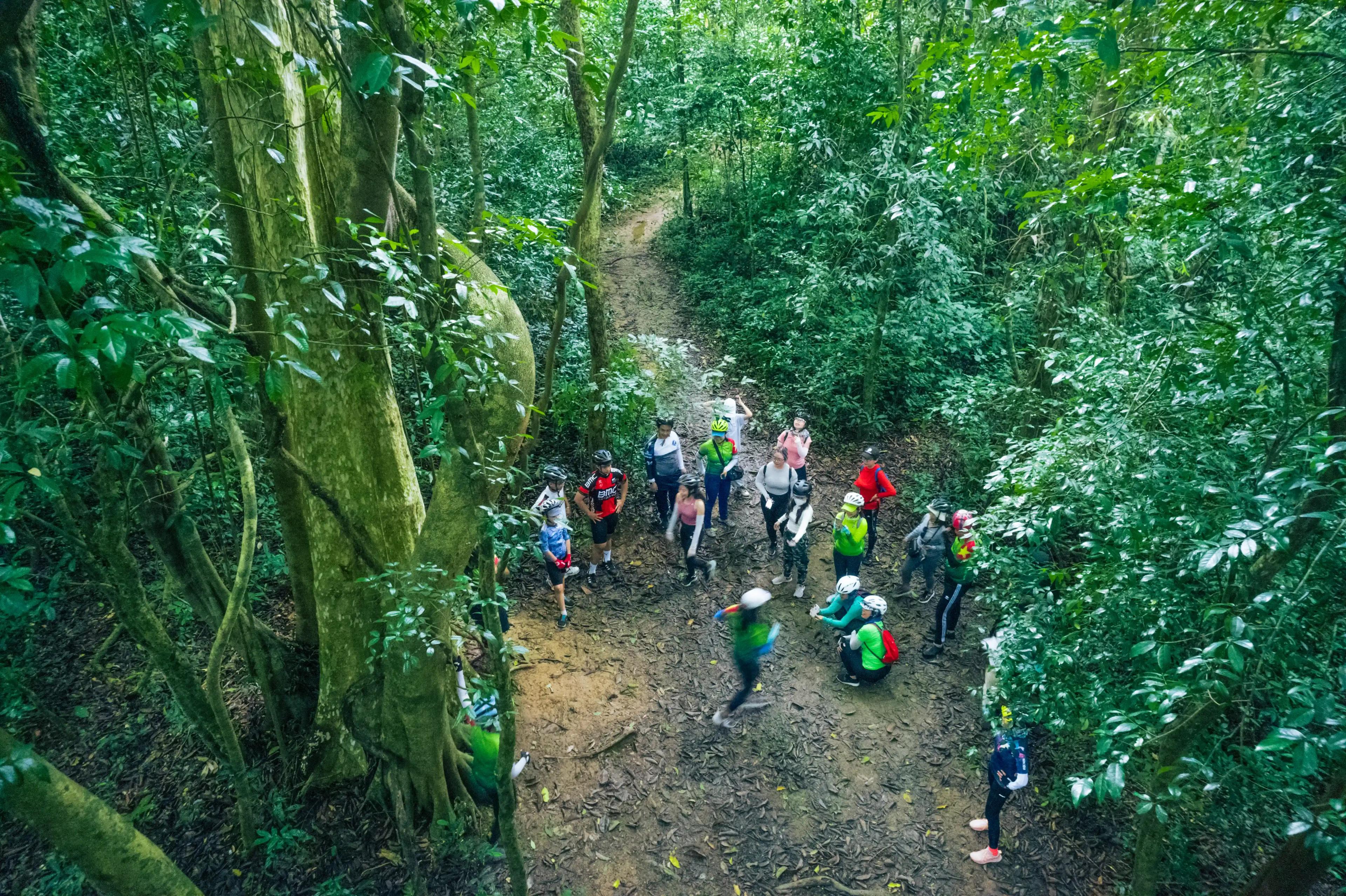 Ma Da Forest Bike & SUP Day Tour from Ho Chi Minh City | Cao Cao Adventures